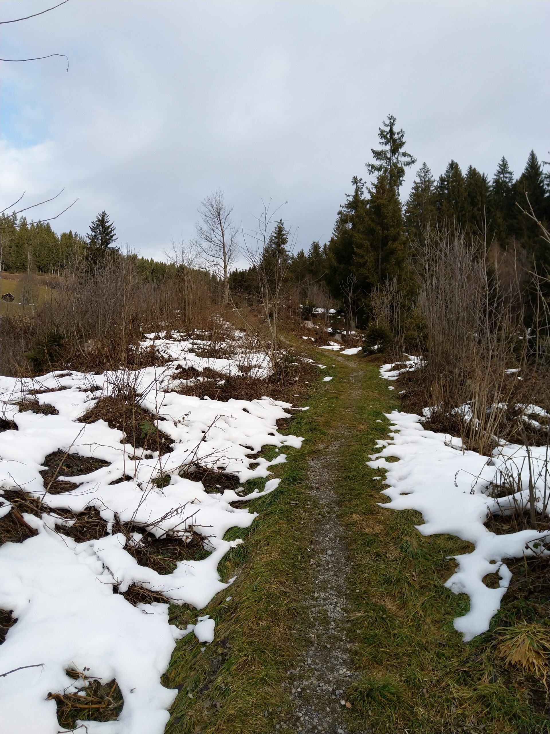 Winter Trail Running - MONTAMA